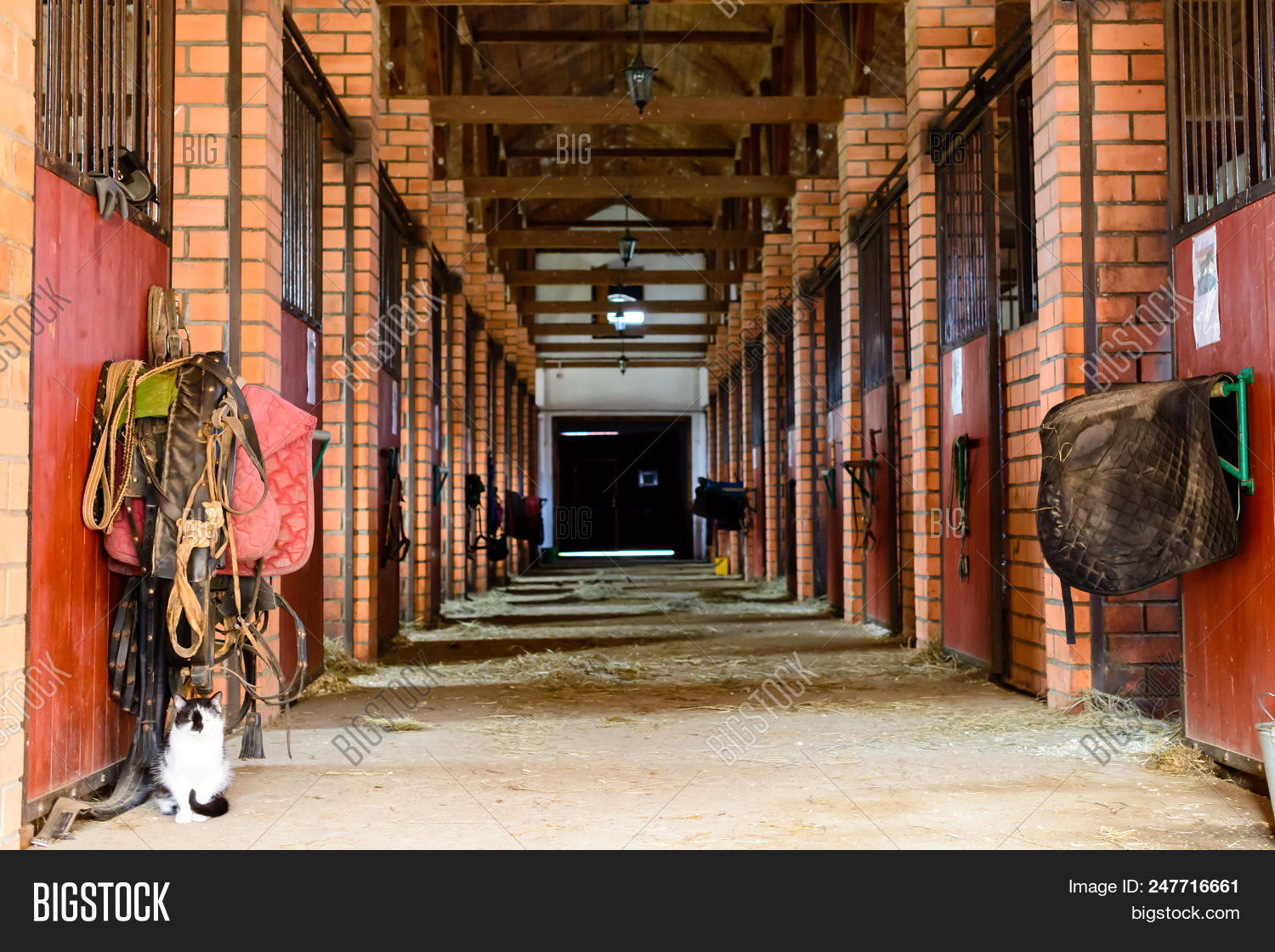 Empty Horse Stable, Image & Photo (Free Trial) | Bigstock