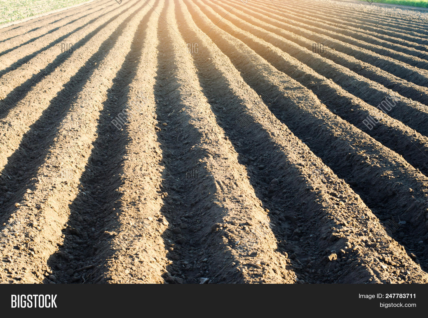 Plowed Field After Image & Photo (Free Trial) | Bigstock
