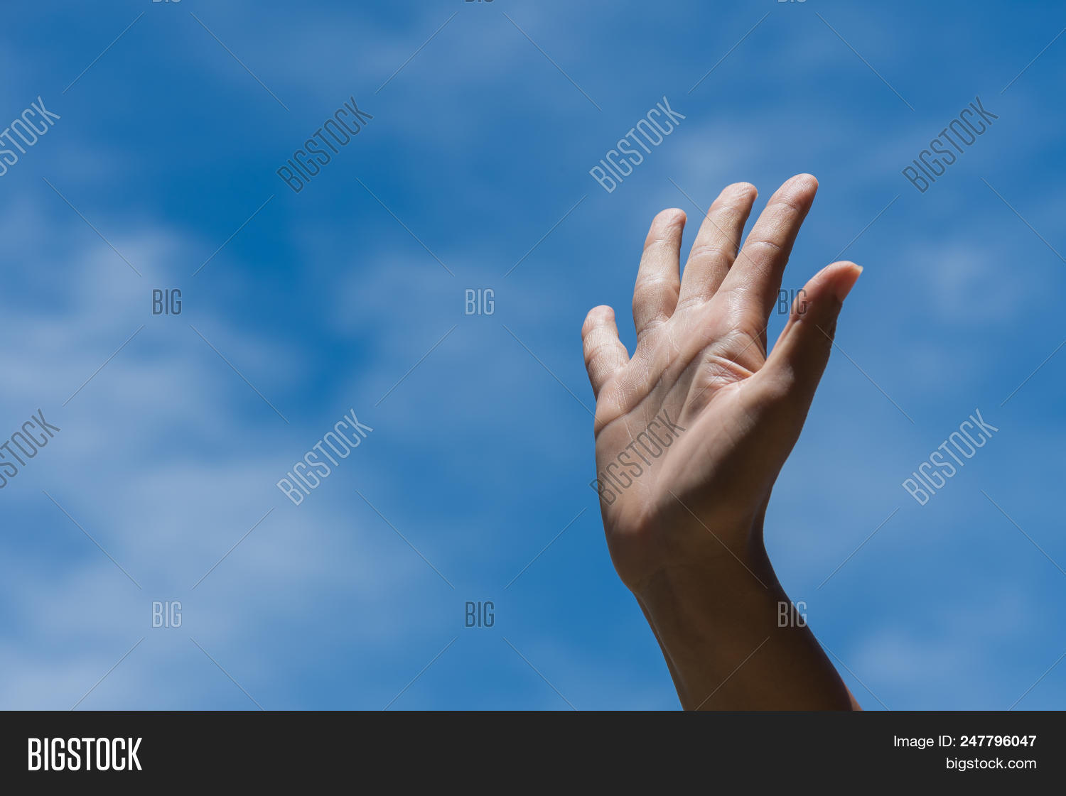 Woman Raise Hand Image & Photo (Free Trial) | Bigstock