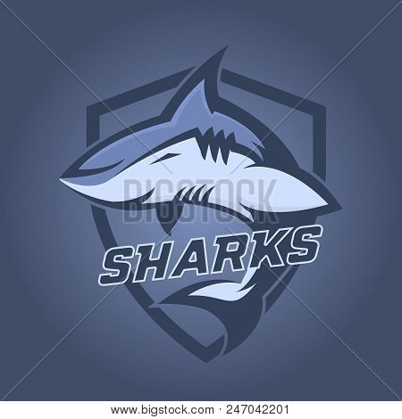 Modern Professional Vector & Photo (Free Trial) | Bigstock