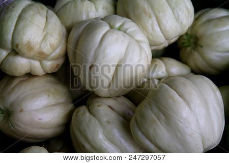 Guisquil Images, Illustrations & Vectors (Free) - Bigstock