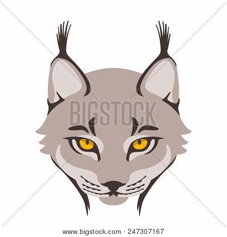 Lynx Face Vector Vector & Photo (Free Trial) | Bigstock