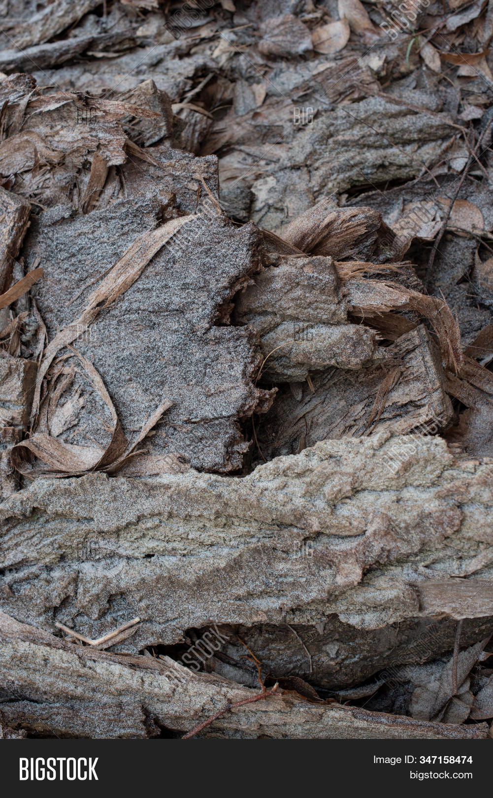 Brown Wood Texture Image & Photo (Free Trial) | Bigstock