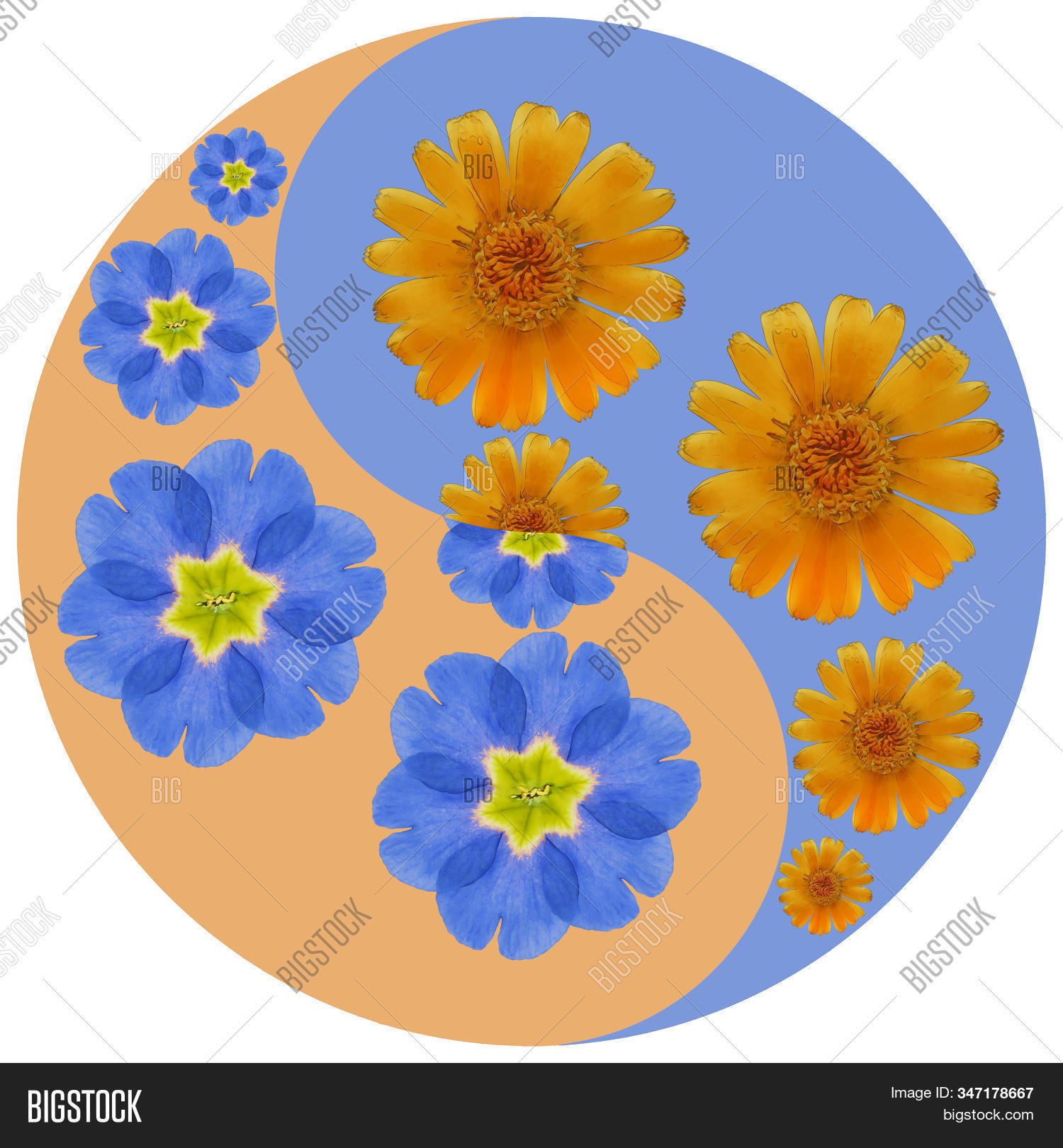 Floral Symbol Yin-yang Image & Photo (Free Trial) | Bigstock