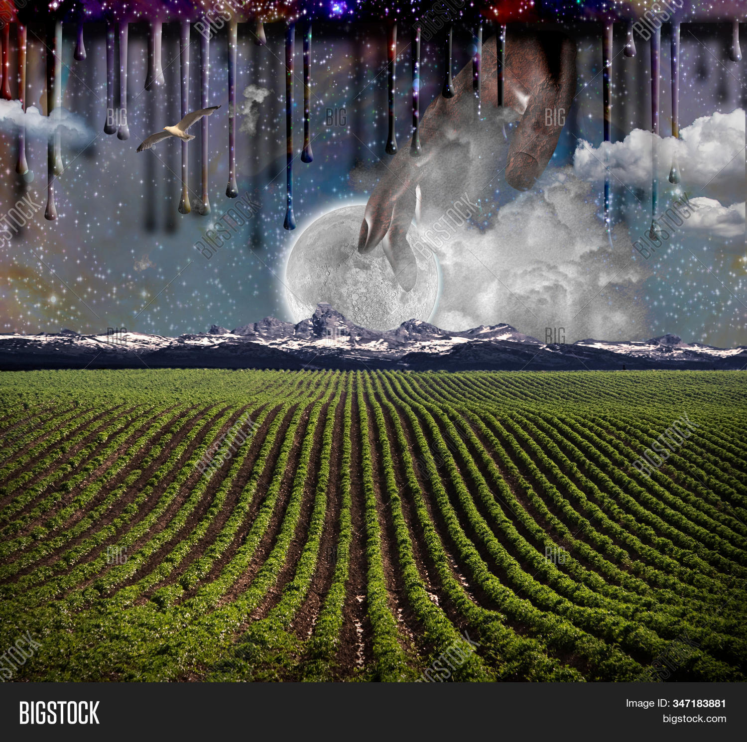 Surrealism. Field Image & Photo (Free Trial) | Bigstock