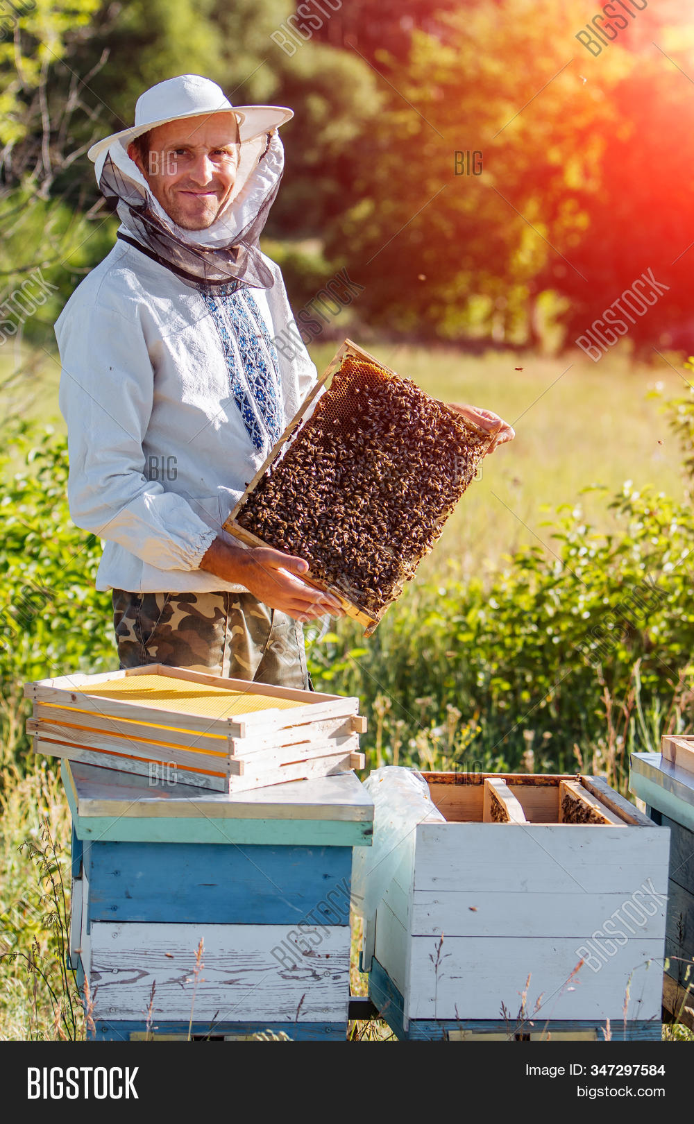Beekeeper Working Bees Image & Photo (Free Trial) | Bigstock