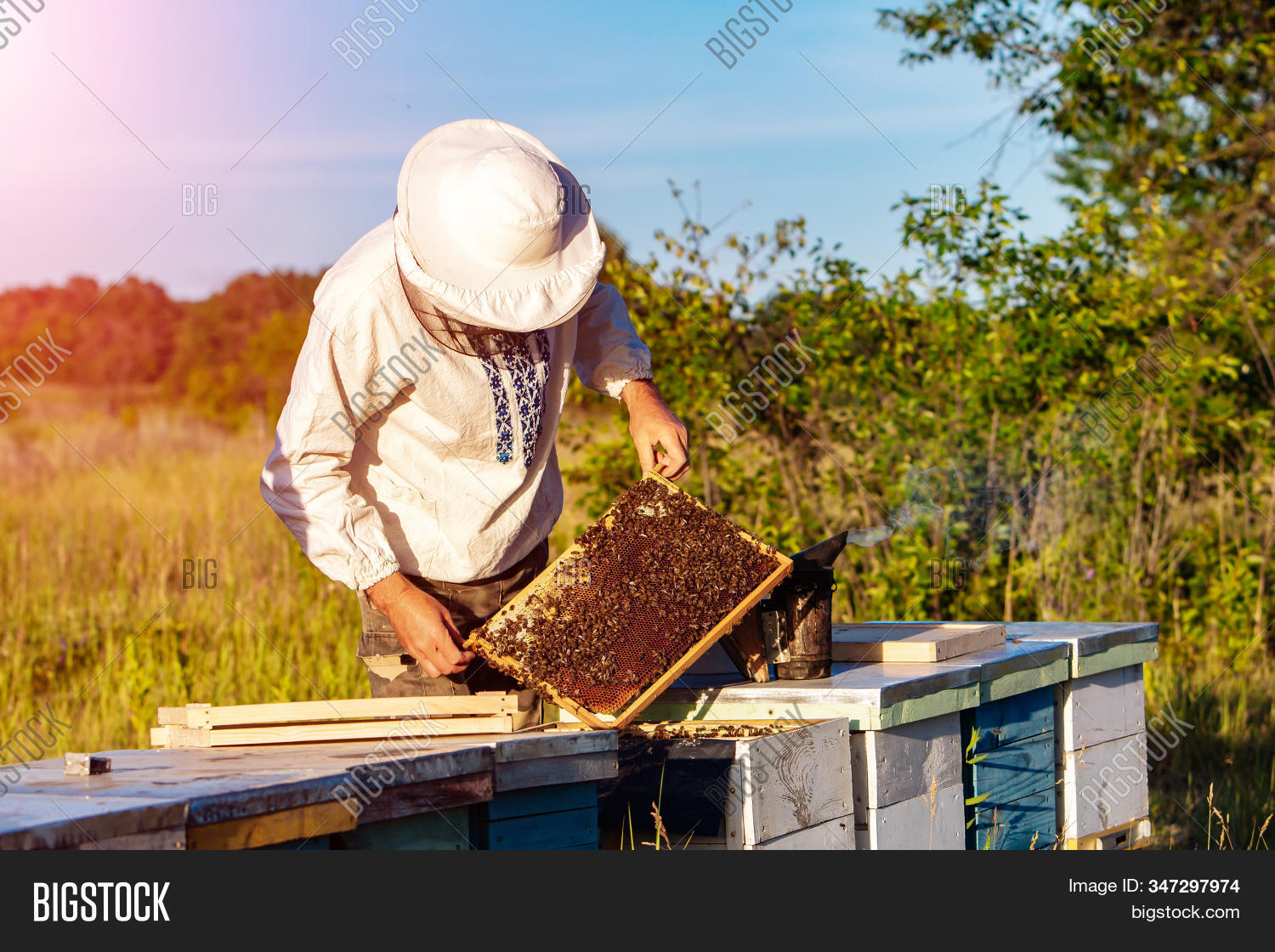 Young Beekeeper Image & Photo (Free Trial) | Bigstock