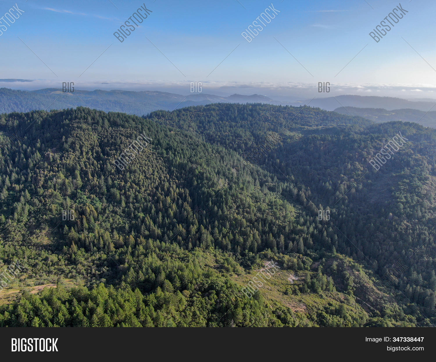 Aerial View Verdant Image & Photo (Free Trial) | Bigstock