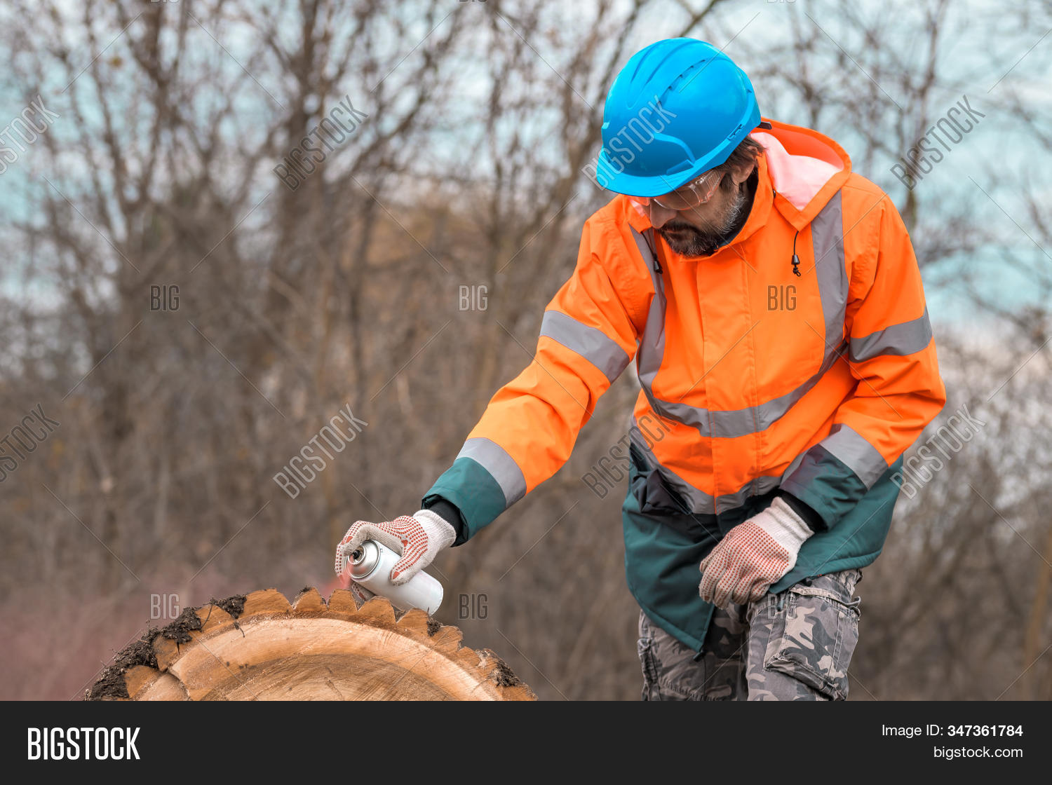 Forestry Technician Image & Photo (Free Trial) | Bigstock