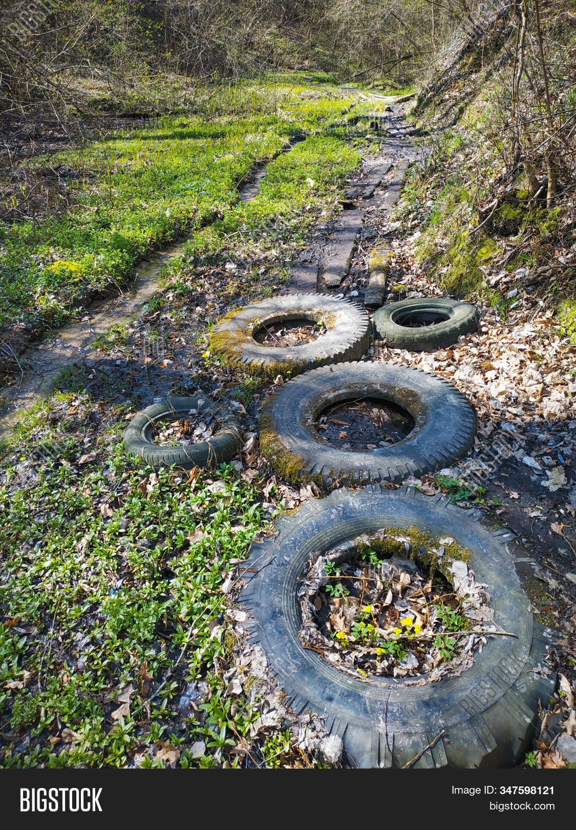 Muddy Road Rural Path Image & Photo (Free Trial) | Bigstock