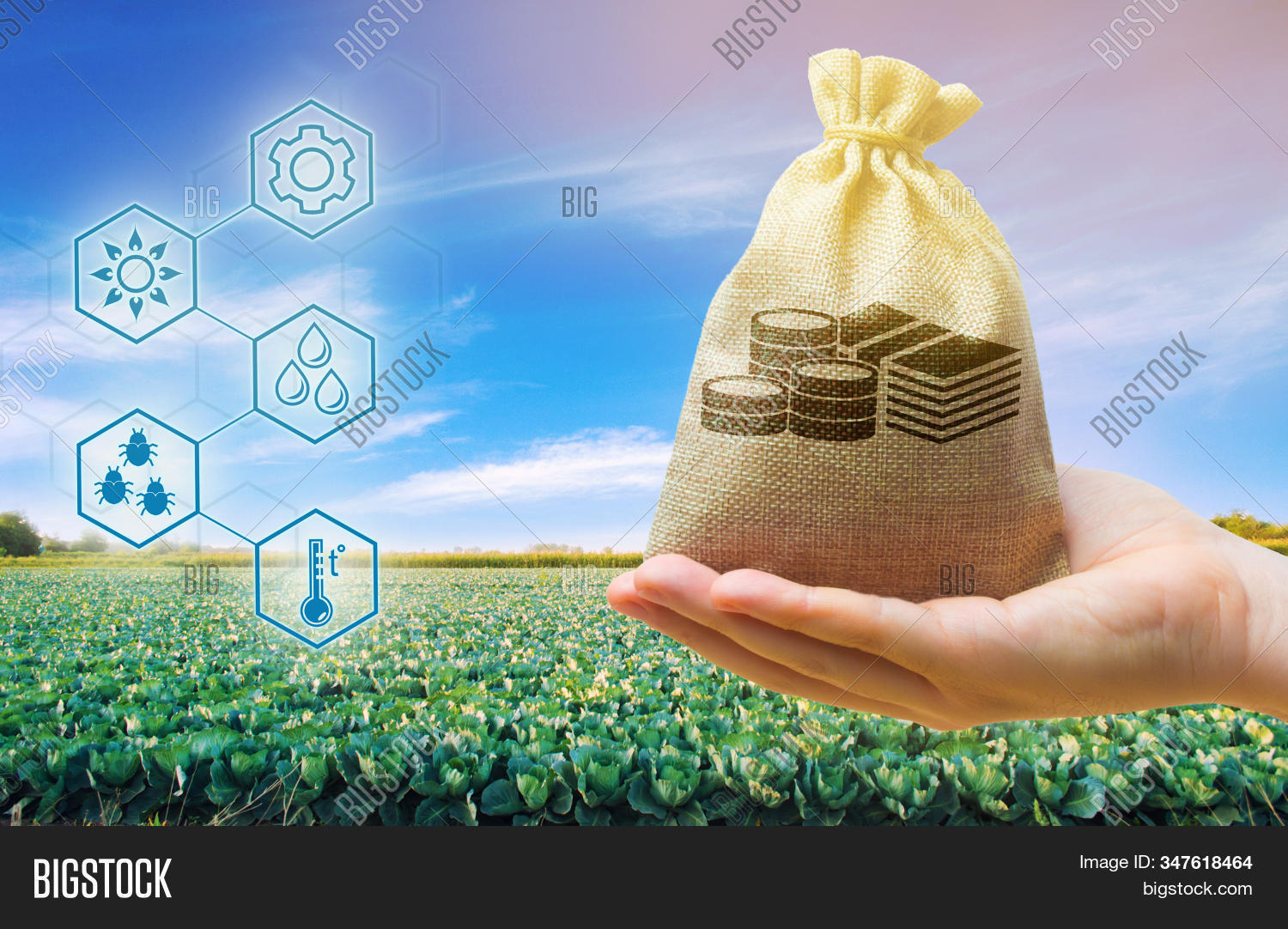 Money Bag On Image & Photo (Free Trial) | Bigstock