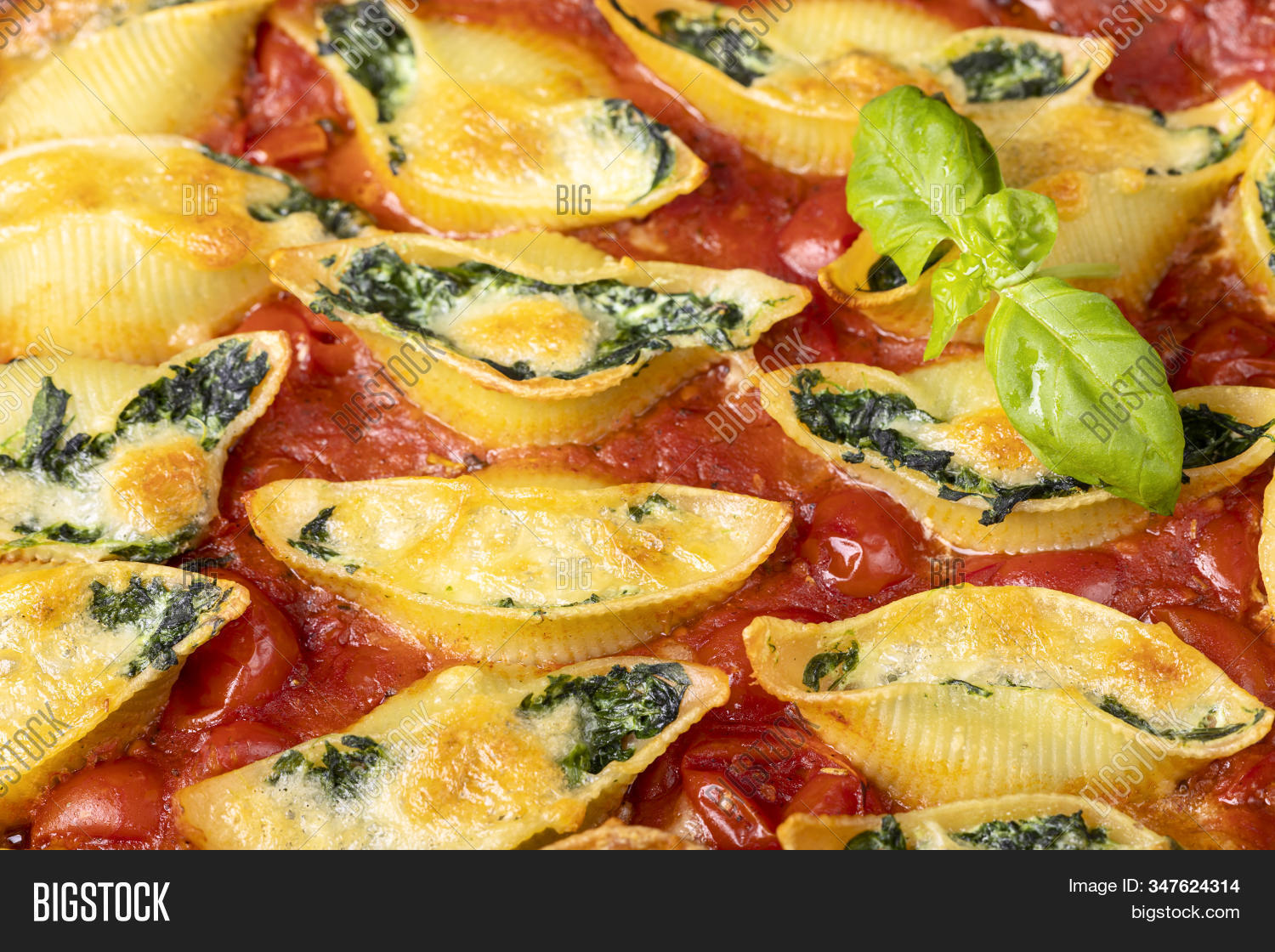 Closeup Italian Image & Photo (Free Trial) | Bigstock