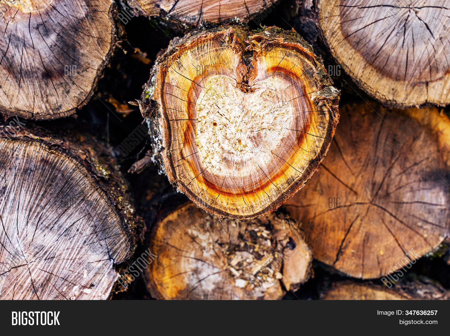 Pile Stacked Firewood Image & Photo (Free Trial) | Bigstock