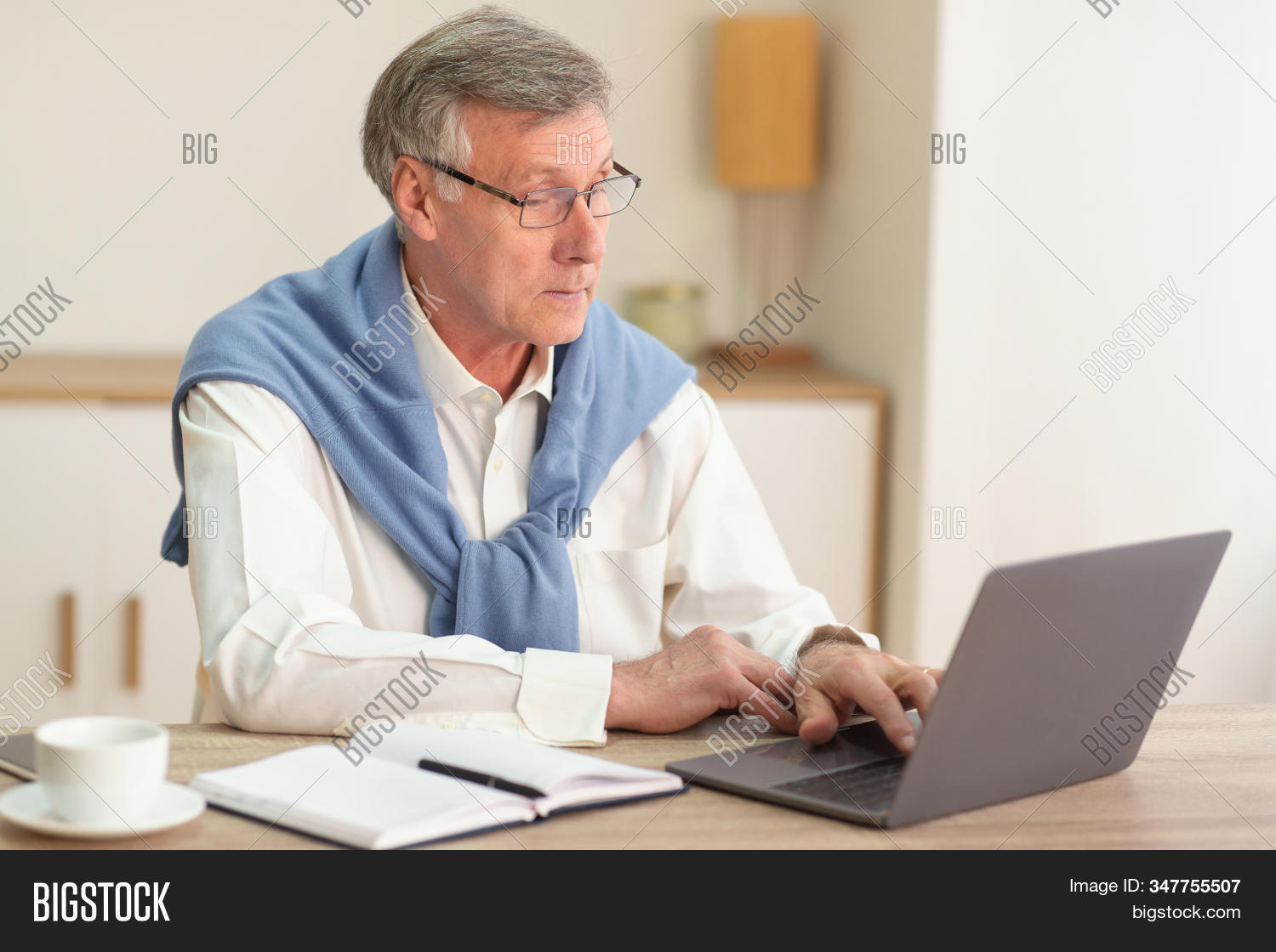 Computer Work Senior Image & Photo (Free Trial) | Bigstock