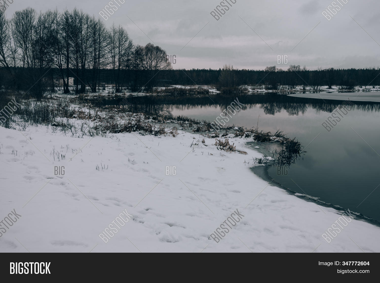 Calm Pond On Cold Image & Photo (Free Trial) | Bigstock