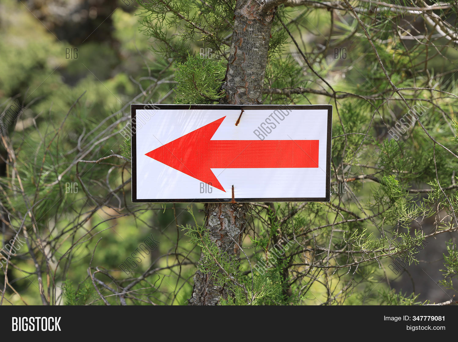 Red Arrow Way Sign On Image & Photo (Free Trial) | Bigstock