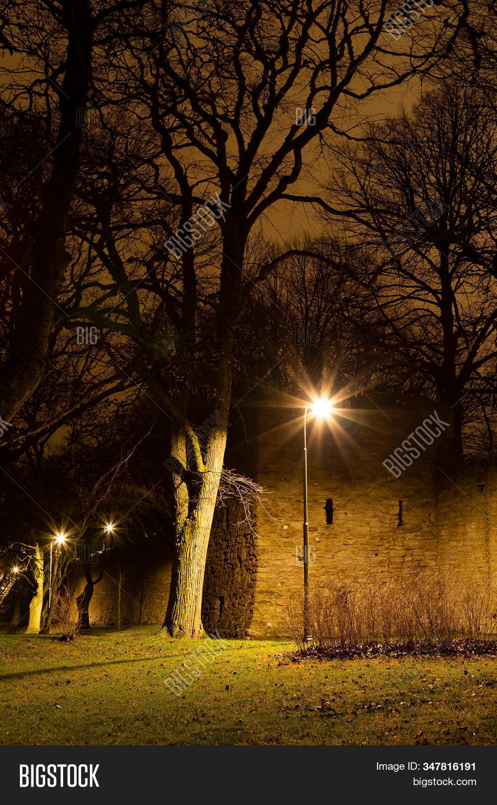 Street Lights Trees By Image & Photo (Free Trial) | Bigstock
