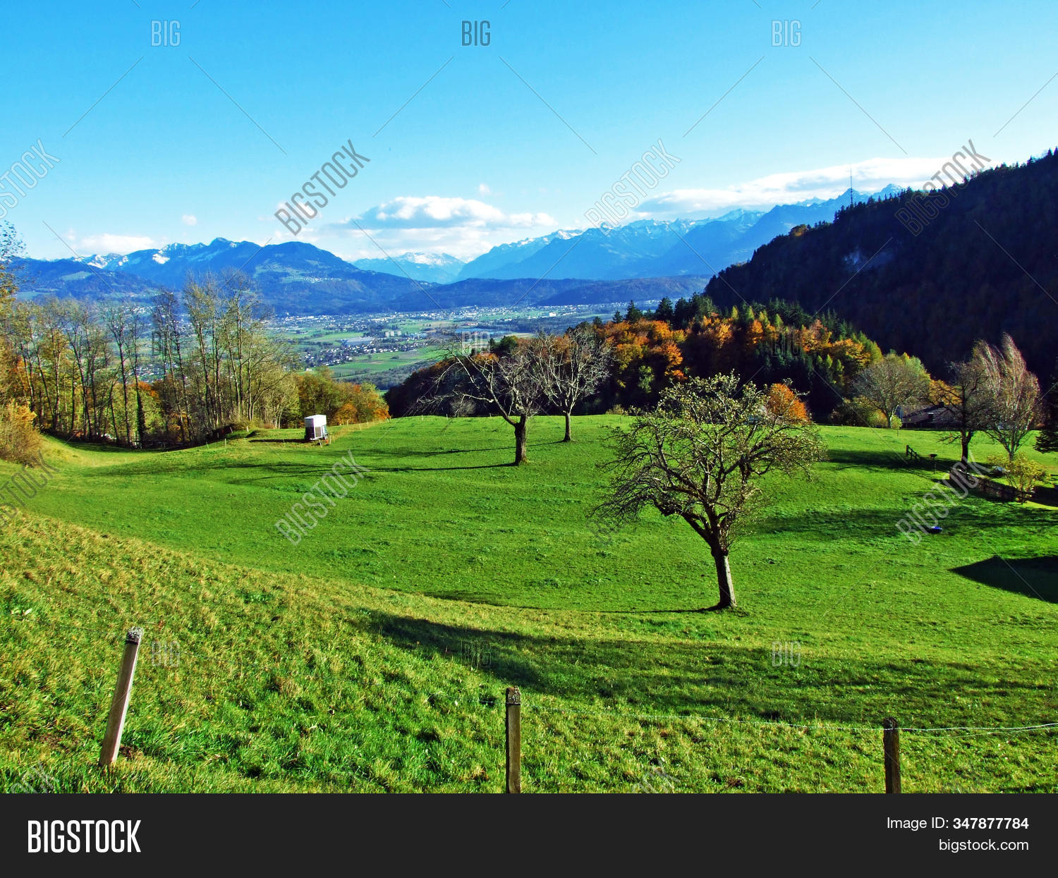 Alpine Pastures Image & Photo (Free Trial) | Bigstock