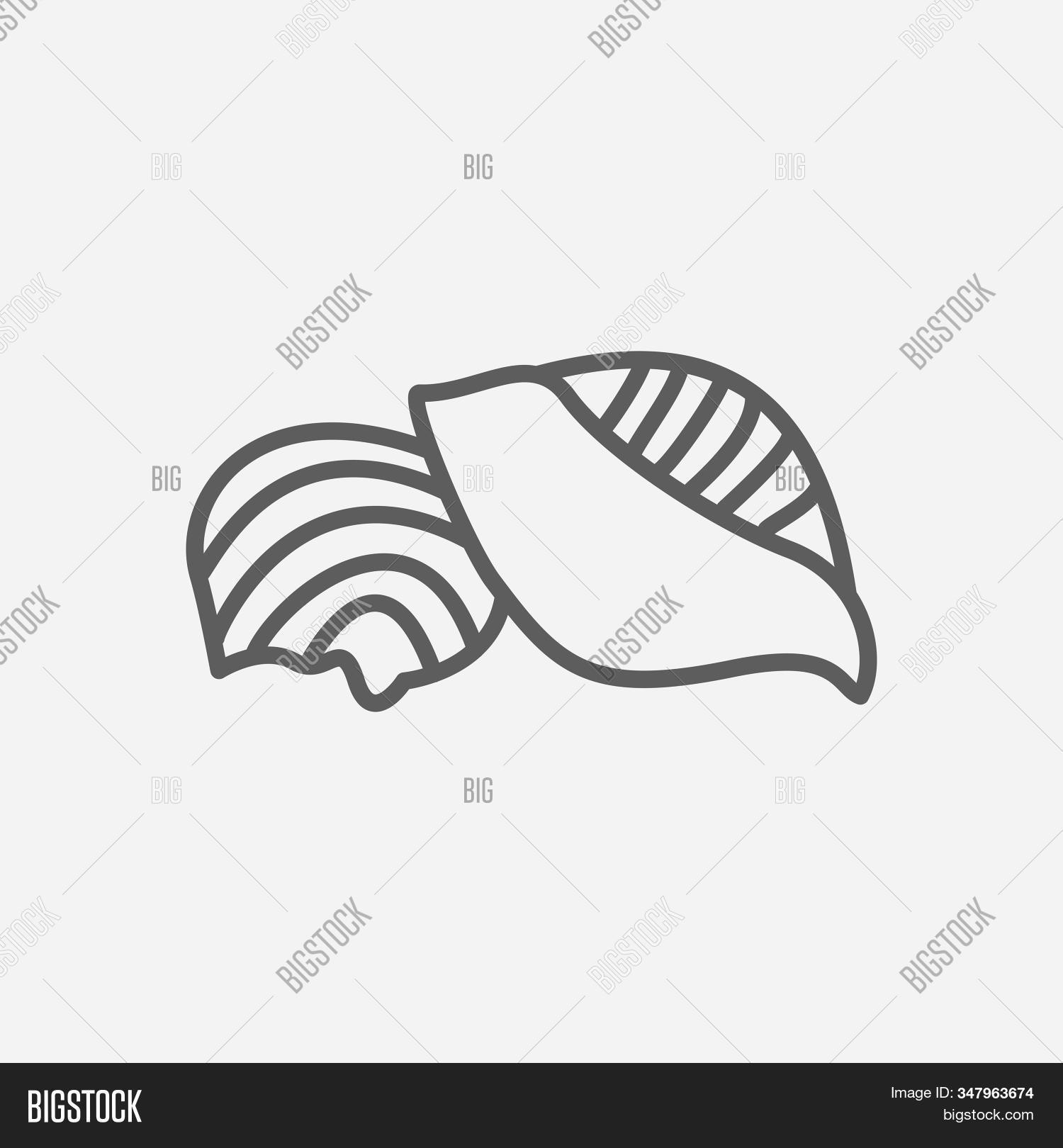 Conchiglie Pasta Shape Image & Photo (Free Trial) | Bigstock