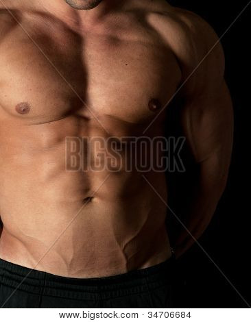 Muscular Male Torso Image & Photo (Free Trial) | Bigstock