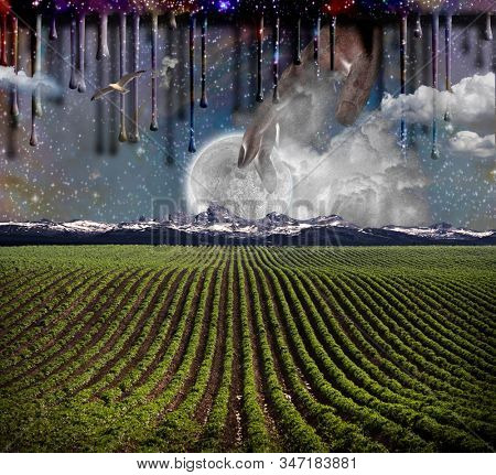 Surrealism. Field Image & Photo (Free Trial) | Bigstock