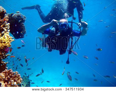 Man Scuba Diver Image & Photo (Free Trial) | Bigstock