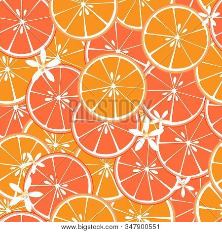 Seamless Pattern Of Sliced Orange With Seeds And Orange Blossom. Vector ...
