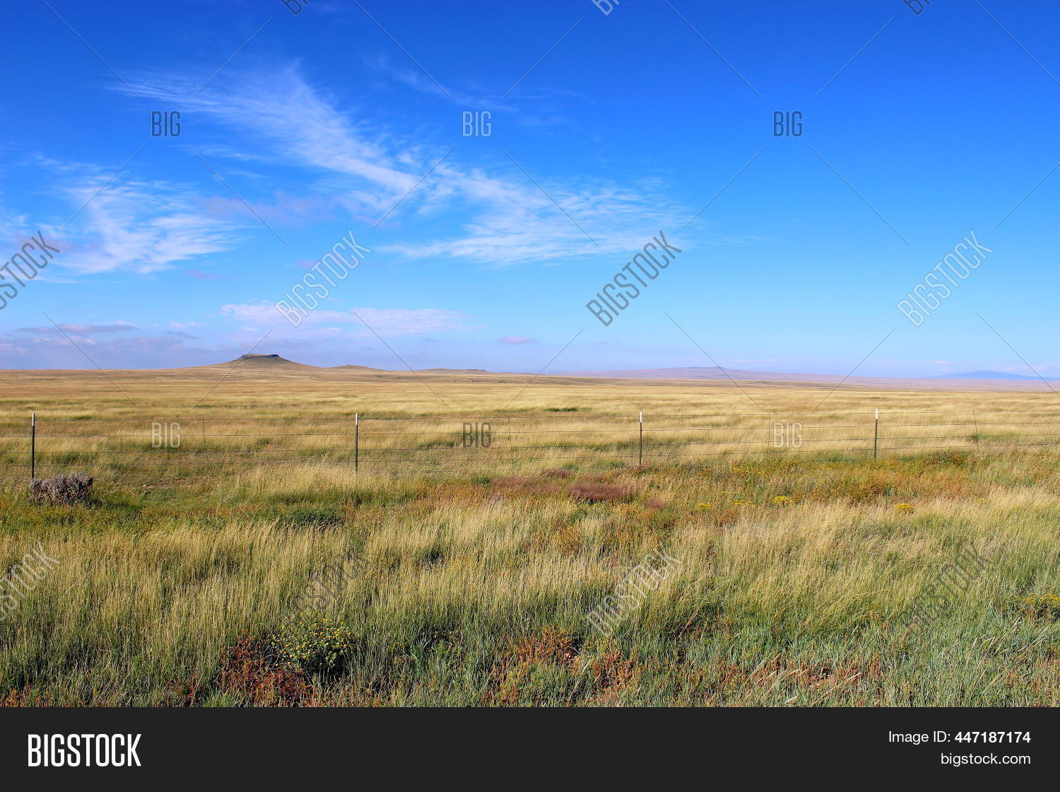 Prairie Grassland Image & Photo (Free Trial) | Bigstock