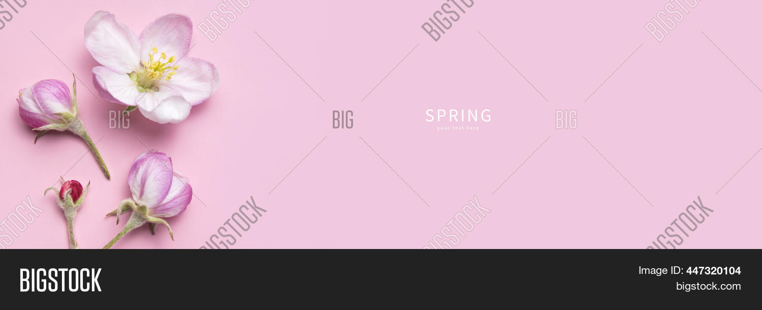 Spring Background. Image & Photo (Free Trial) | Bigstock