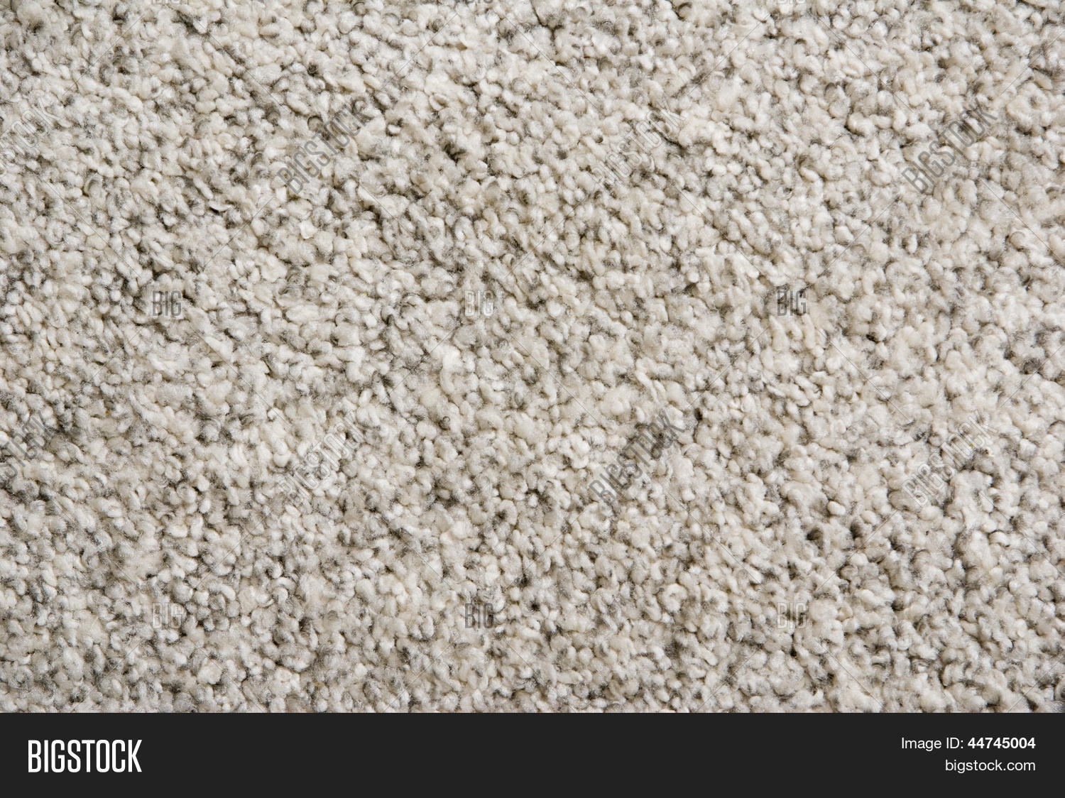 Closeup Beige Fluffy Image & Photo (Free Trial) | Bigstock