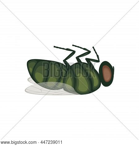 Green Fly Lying. Dead Vector & Photo (Free Trial) | Bigstock