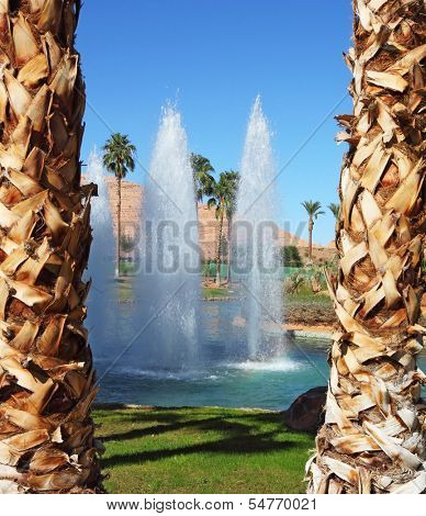 Oasis Desert. Three Image & Photo (Free Trial) | Bigstock