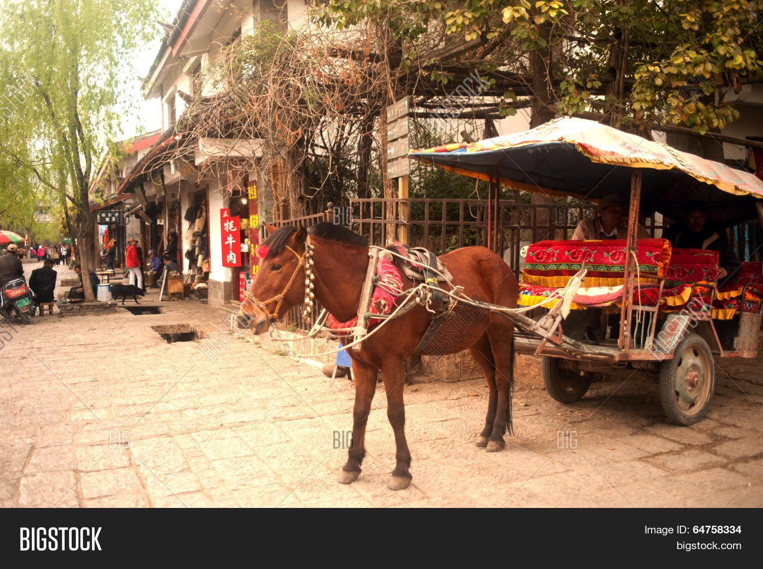 Carriage Service Image & Photo (Free Trial) | Bigstock