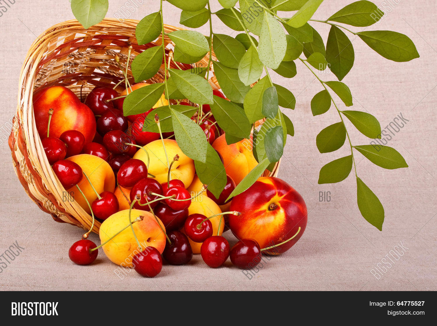 Fruits Berries Spilled Image & Photo (Free Trial) | Bigstock