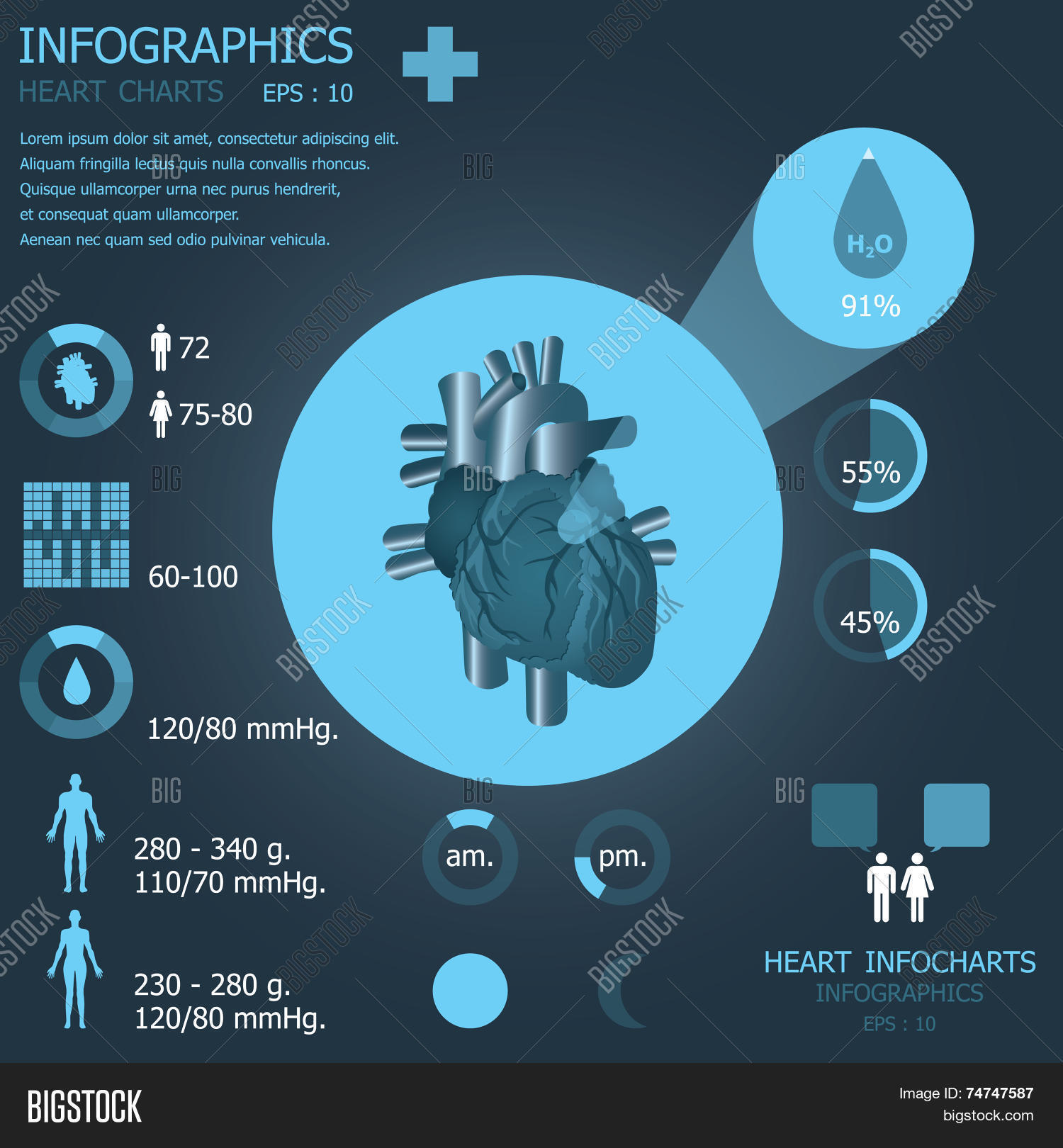 Human Heart Health Vector & Photo (Free Trial) | Bigstock