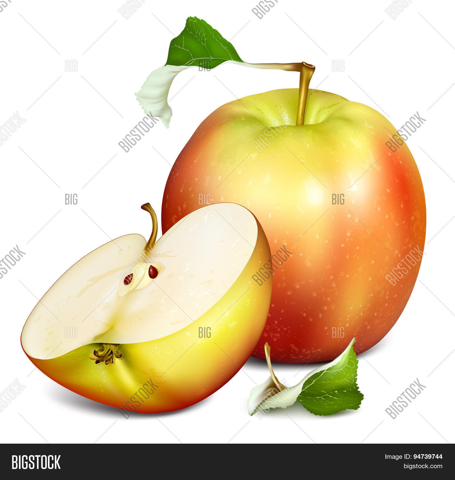 Whole Apple Half Cut Vector & Photo (Free Trial) | Bigstock