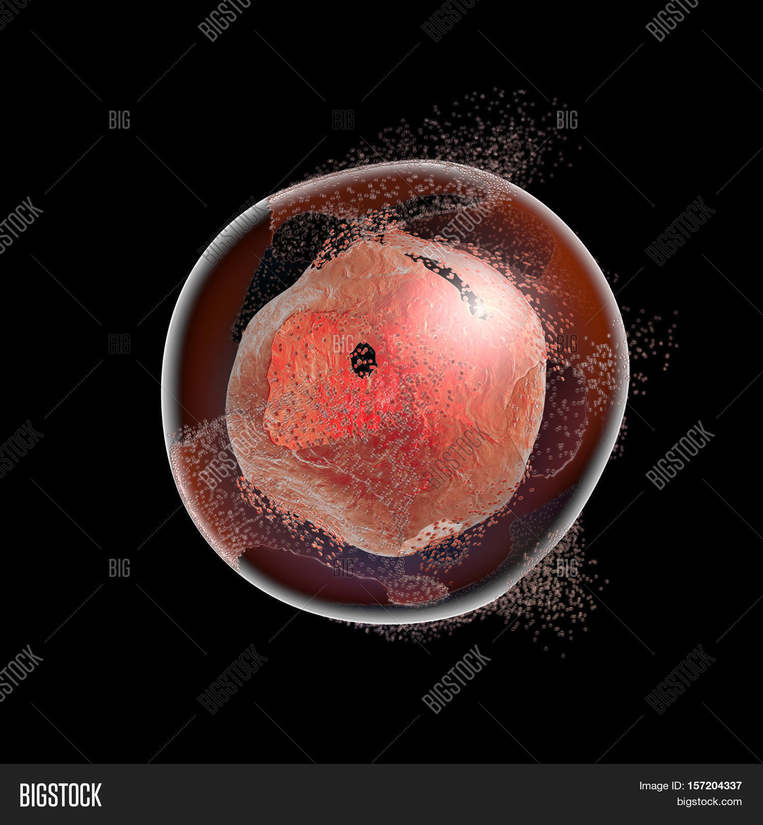 Cell Lysis. Image & Photo (Free Trial) | Bigstock