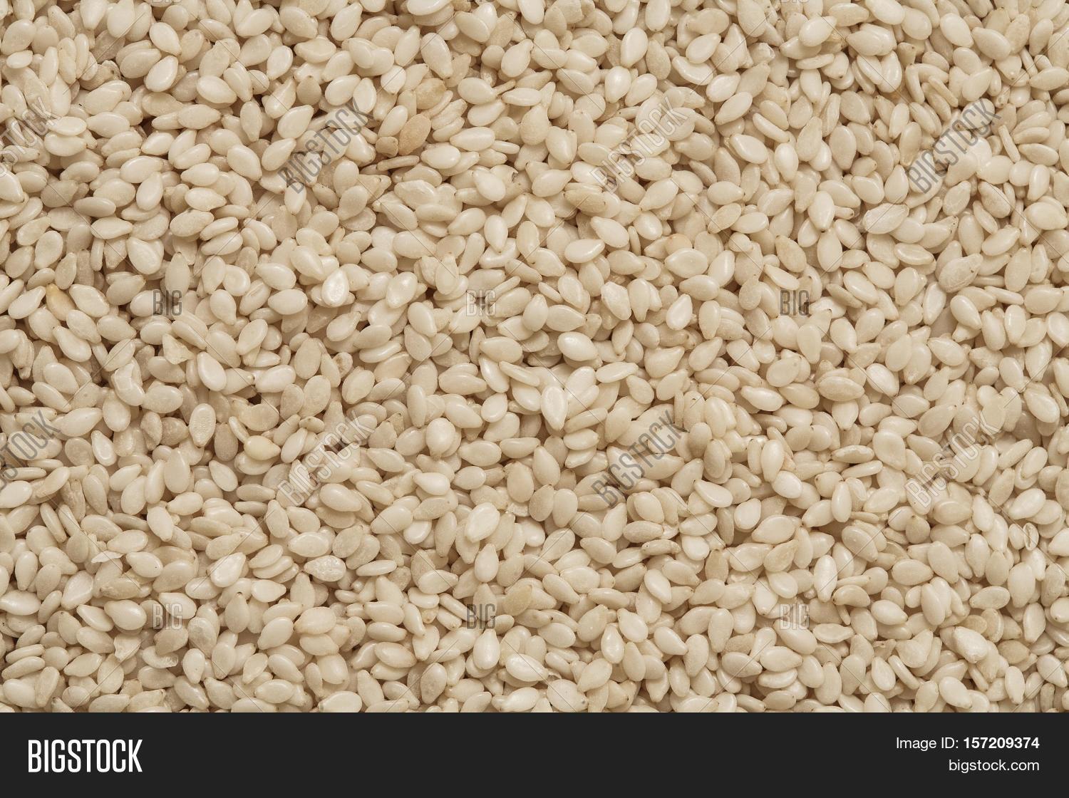 White Sesame Seed Image & Photo (Free Trial) | Bigstock