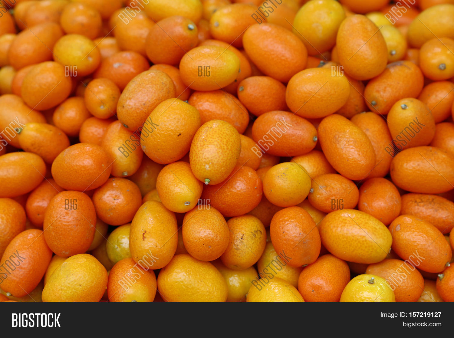 Fresh Orange Cumquat Image & Photo (Free Trial) | Bigstock