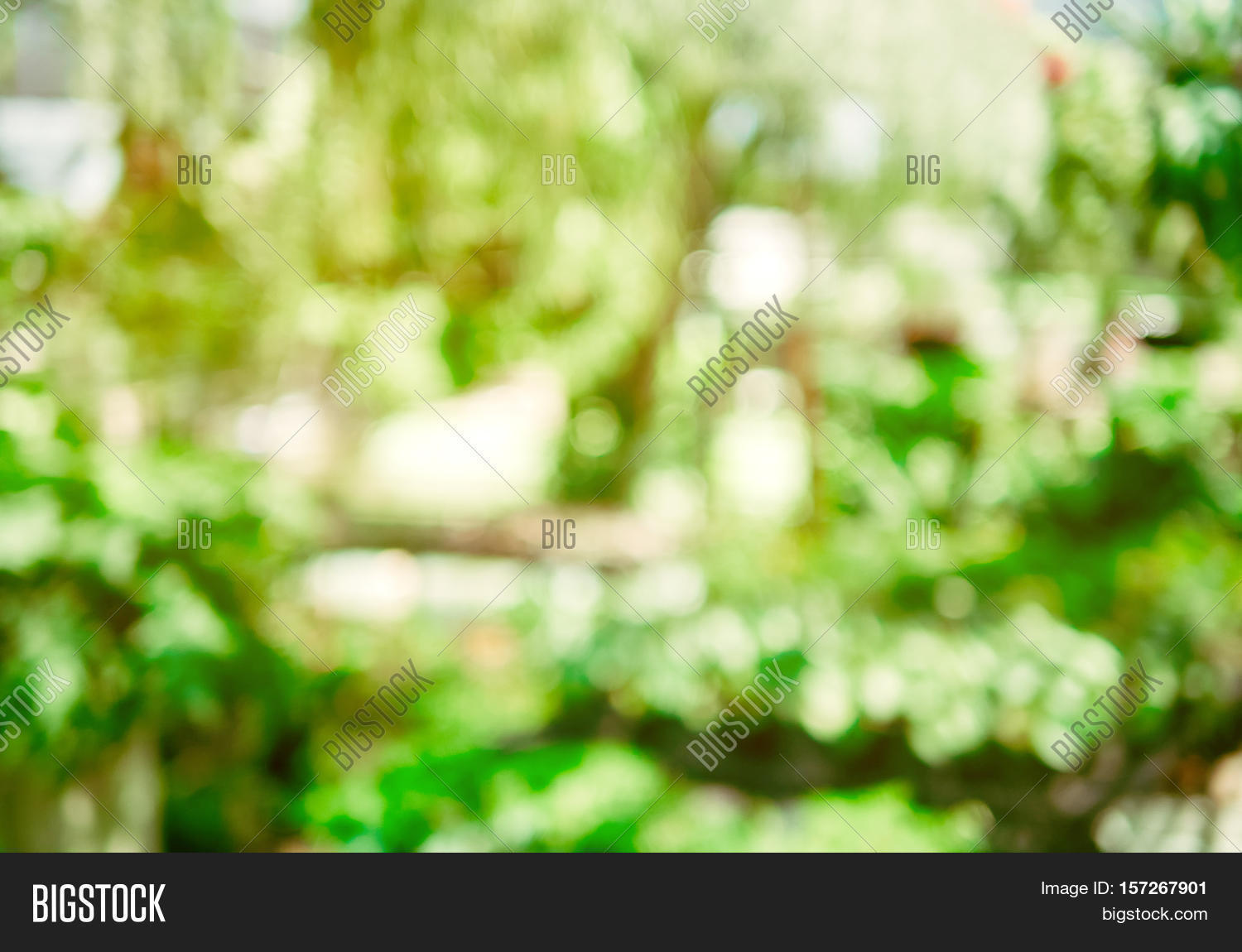 Healthy Green Bio Image & Photo (Free Trial) | Bigstock