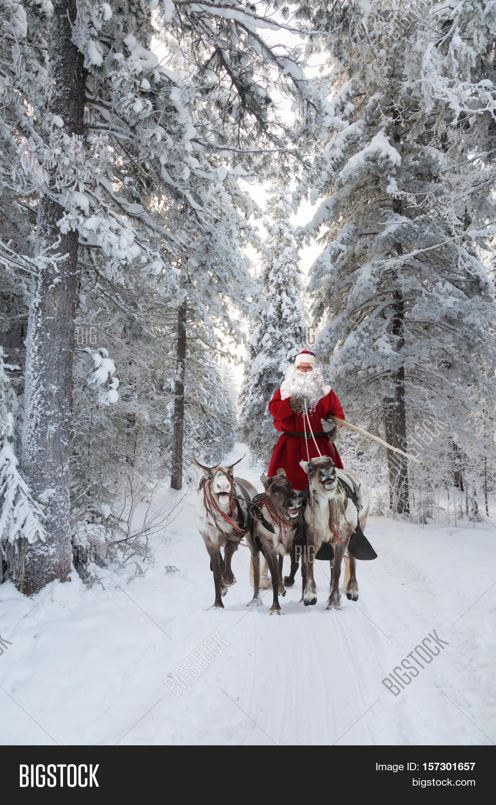 Santa Claus Riding Image & Photo (Free Trial) | Bigstock