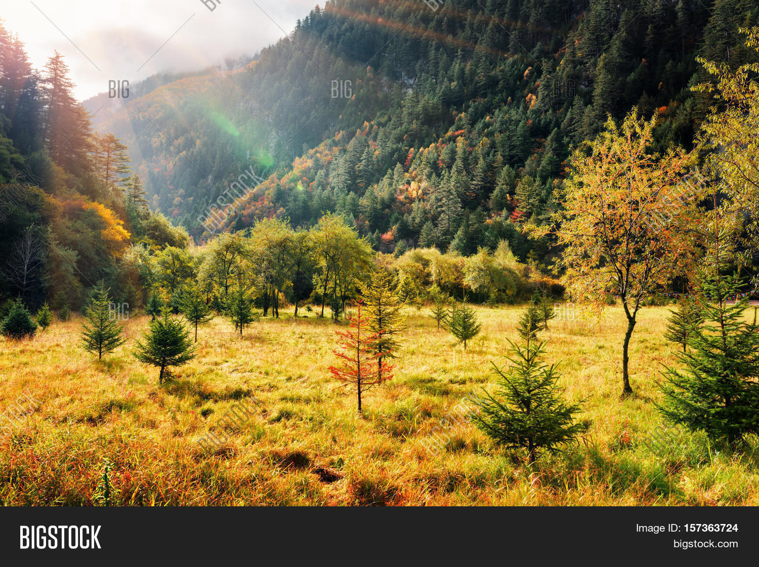 Scenic Fall Field Image & Photo (Free Trial) | Bigstock