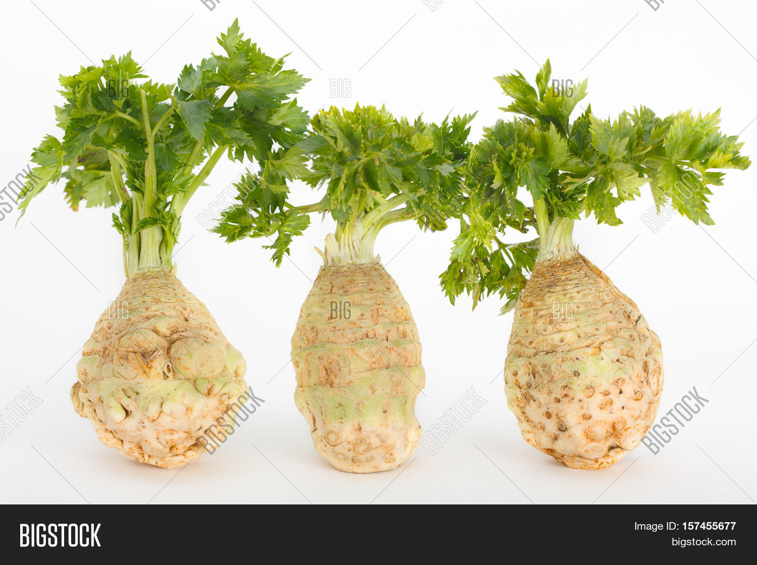 Three Fresh Celery Image & Photo (Free Trial) | Bigstock