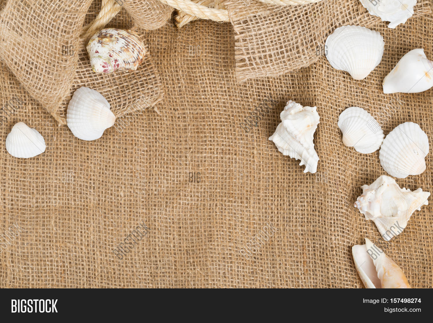 Seashells Rope On Image & Photo (Free Trial) | Bigstock