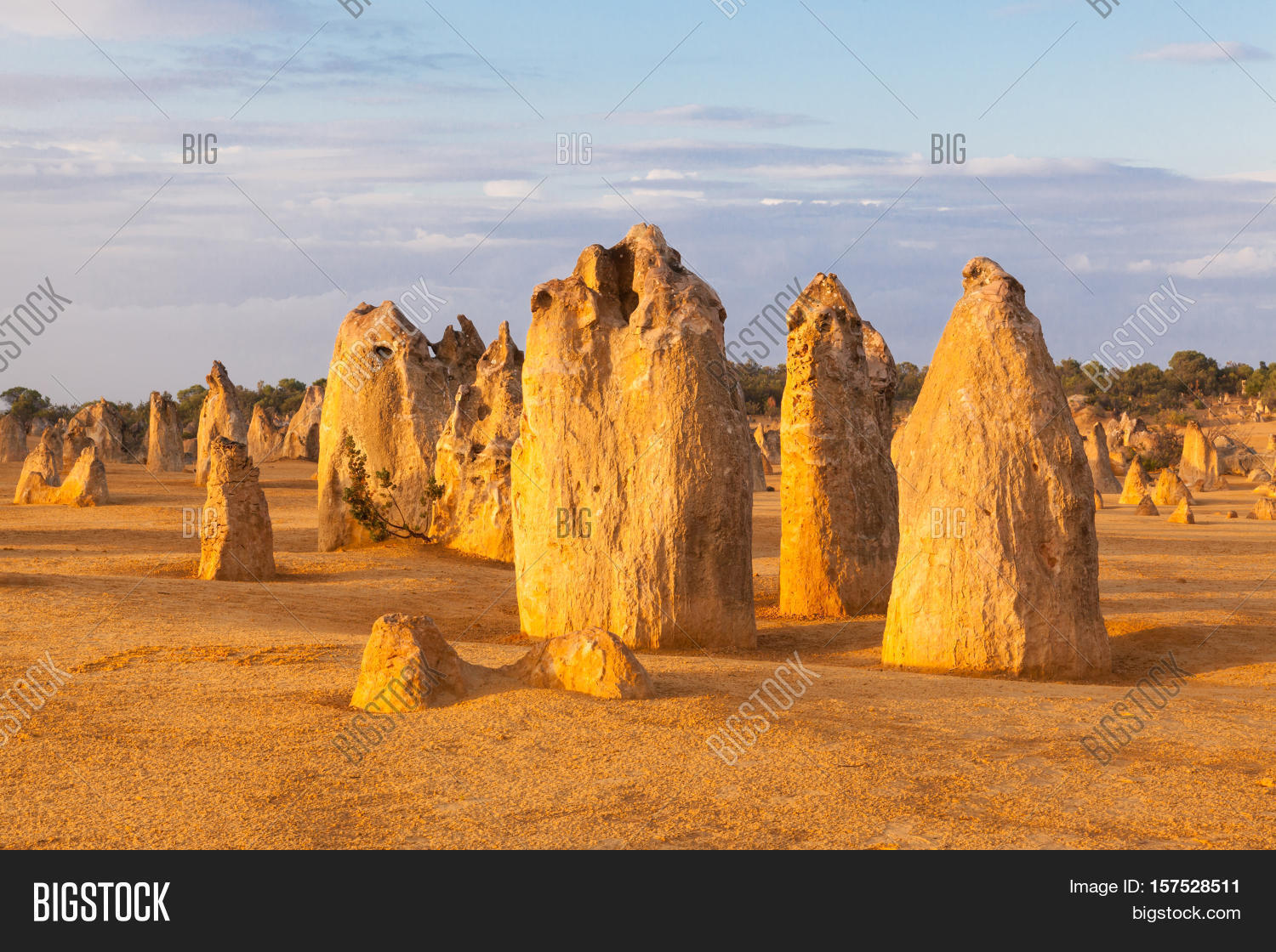 Pinnacles Limestone Image & Photo (Free Trial) | Bigstock