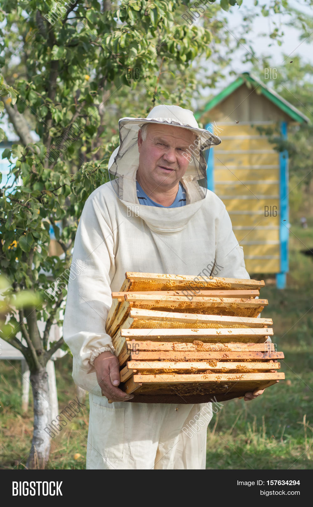 Beekeeper Working Bees Image & Photo (Free Trial) | Bigstock