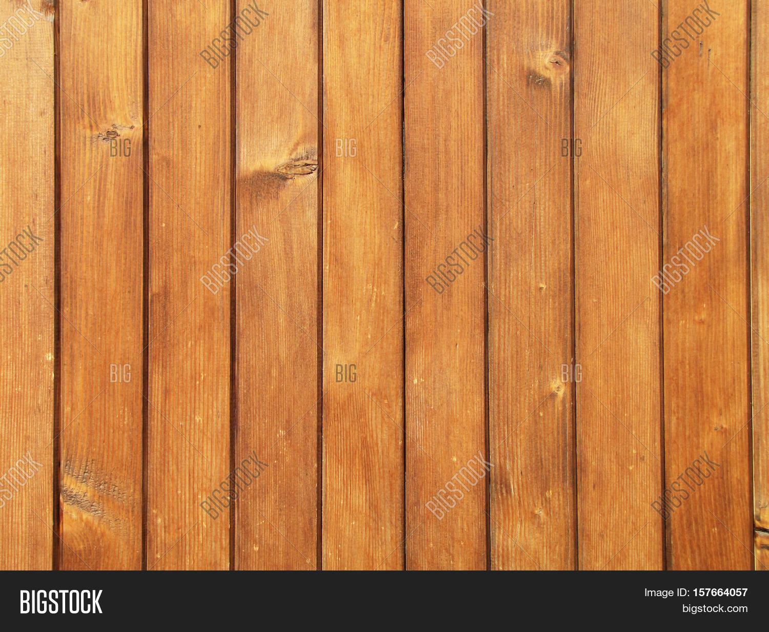 Elegant Wood Panels Image & Photo (Free Trial) | Bigstock