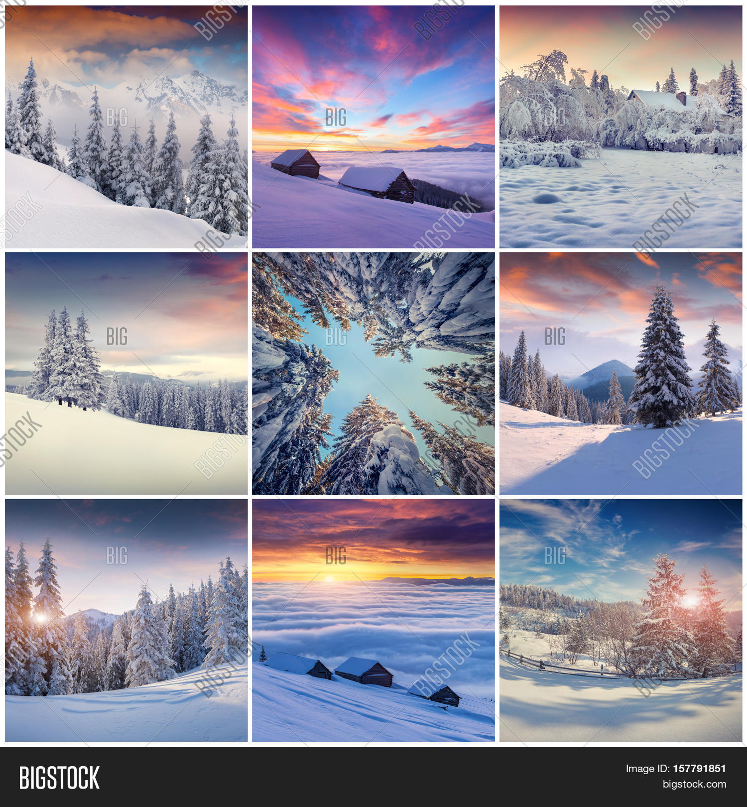 Winter Collage 9 Image & Photo (Free Trial) | Bigstock