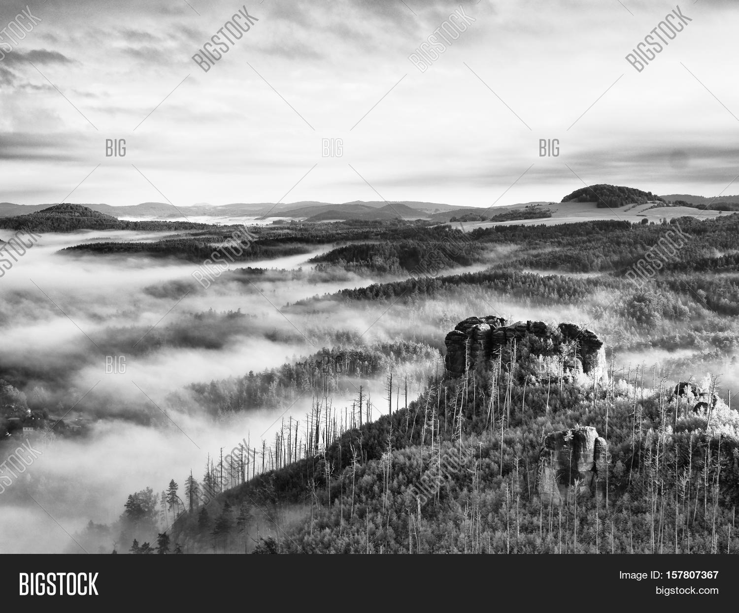 Spring Misty Landscape Image & Photo (Free Trial) | Bigstock