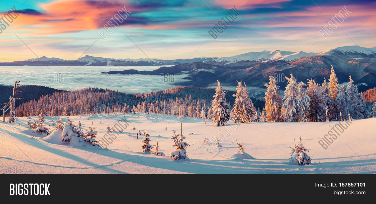 Colorful Winter Image & Photo (Free Trial) | Bigstock